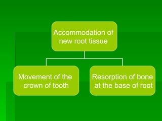 Eruption Theory..root elongation theory | PPT