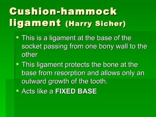 Eruption Theory..root elongation theory | PPT