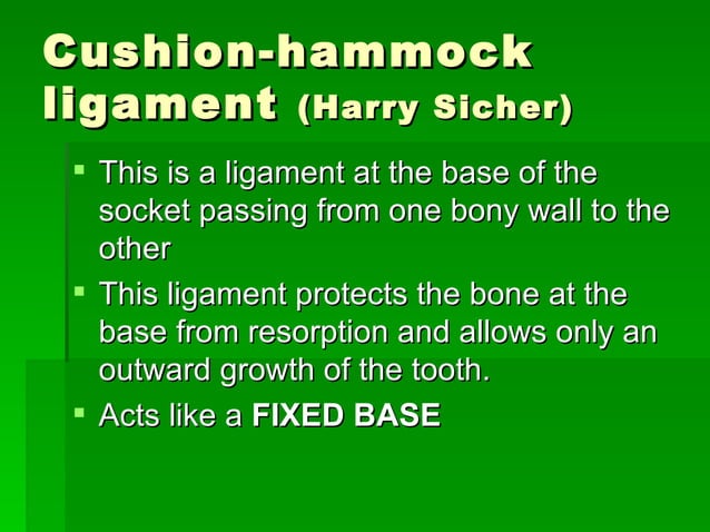 Eruption Theory Root Elongation Theory Ppt