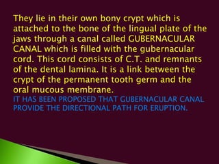 Eruption of teeth ( Hesham Dameer ) | PPTX