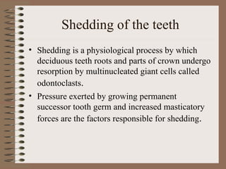 The eruption and shadding of the teeth .ppt