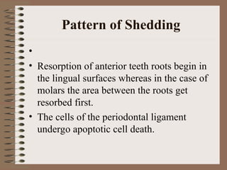 The eruption and shadding of the teeth .ppt