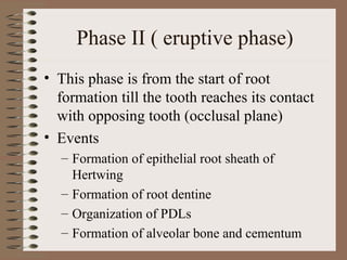 The eruption and shadding of the teeth .ppt