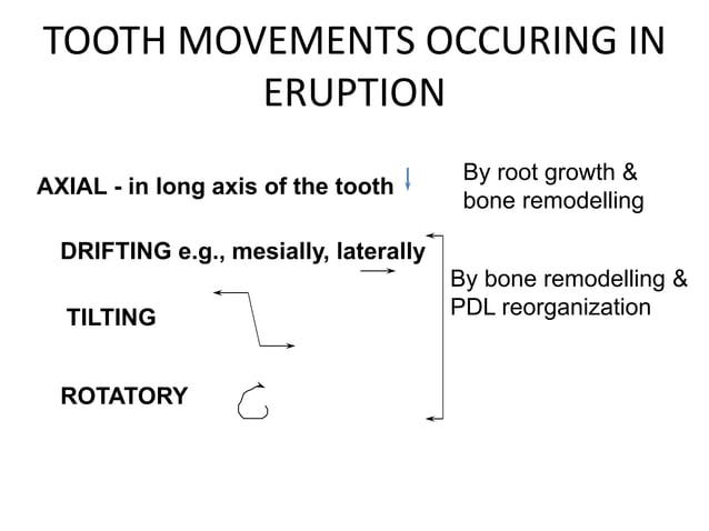 Deciduous and permanent teeth Eruption time and shedding | PPTX