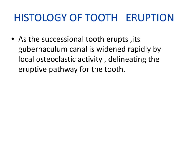 Deciduous and permanent teeth Eruption time and shedding | PPTX