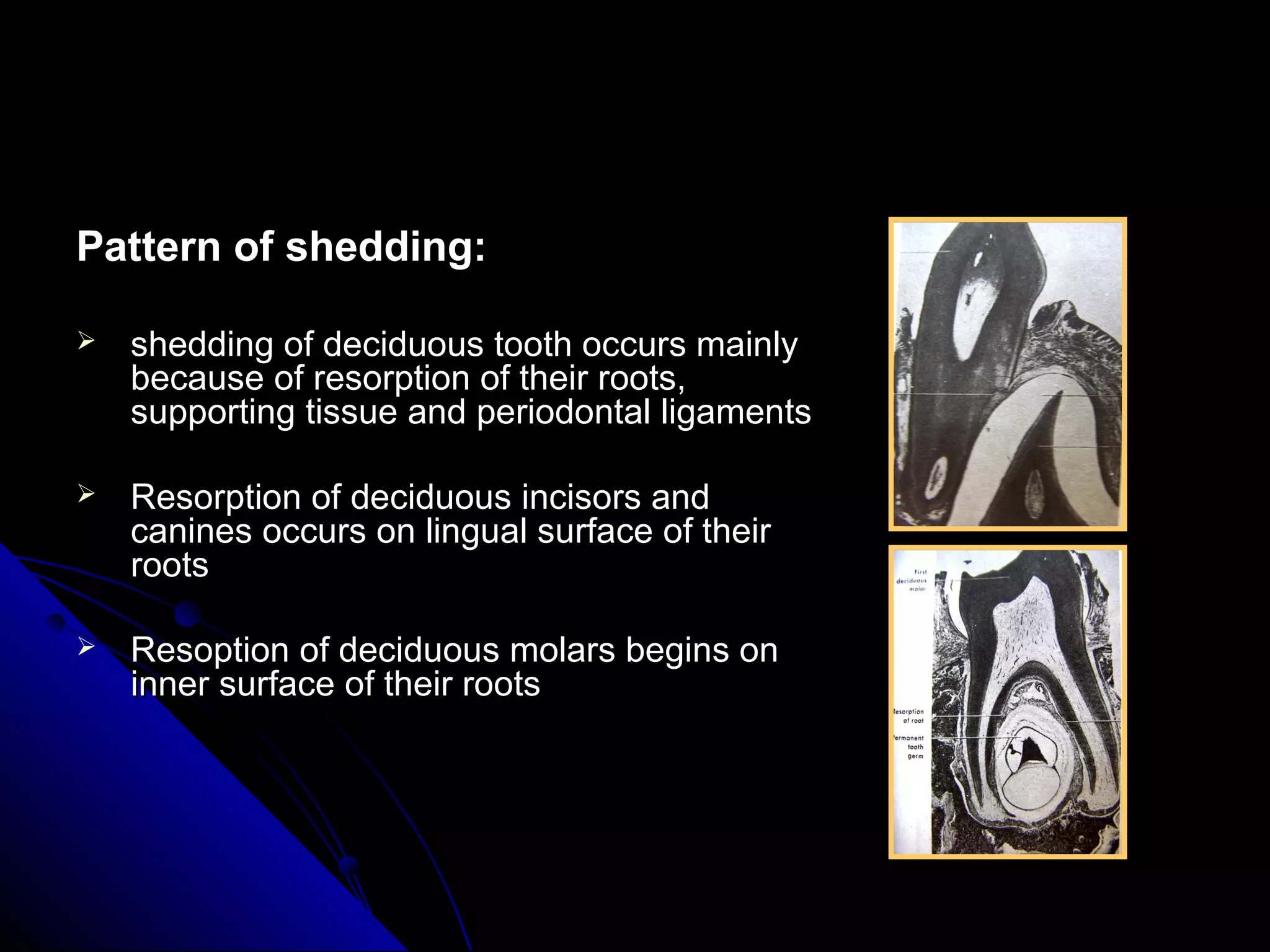 Eruption and shedding of teeth | PPT