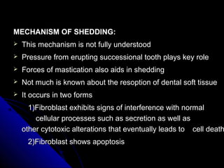 Eruption and shedding of teeth | PPT