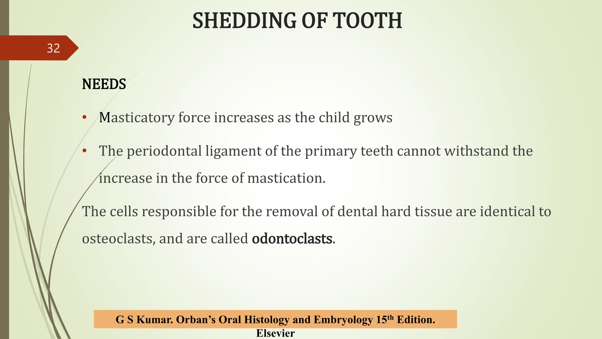 ERUPTION AND SHEDDING OF TEETH.pptx