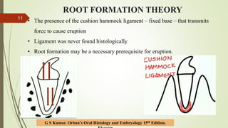 ERUPTION AND SHEDDING OF TEETH.pptx