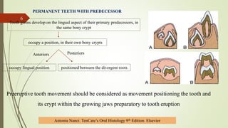ERUPTION AND SHEDDING OF TEETH.pptx