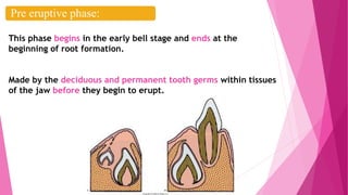 Tooth Eruption Dr Mona Denewar | PPTX