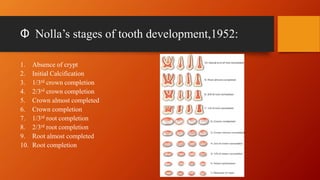Eruption sequence of primary teeth | PPTX | Dental Health | Diseases ...
