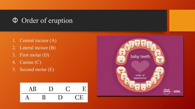 Eruption sequence of primary teeth | PPTX | Dental Health | Diseases ...