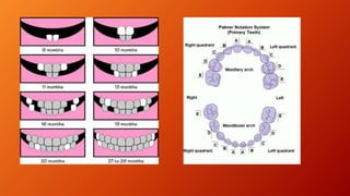 Eruption sequence of primary teeth | PPTX | Dental Health | Diseases ...