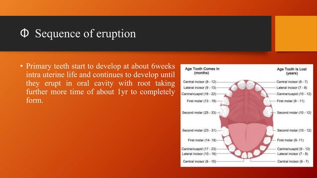 Eruption sequence of primary teeth | PPTX | Dental Health | Diseases ...