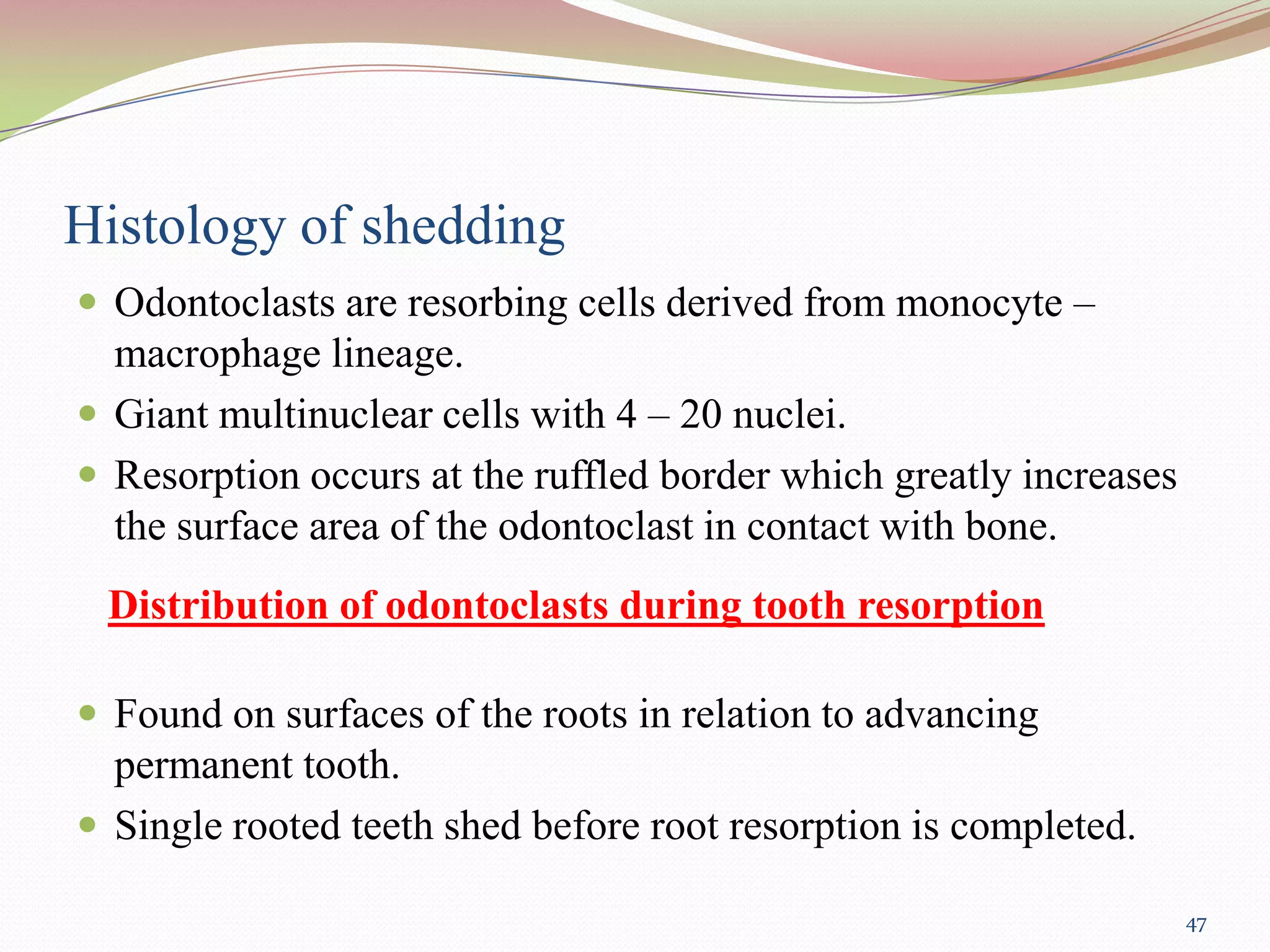 Eruption & shedding | PPTX | Dental Health | Diseases and Conditions