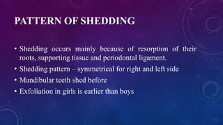 Eruption & Shedding | PPT