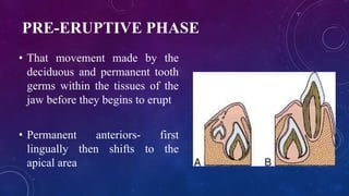 Eruption & Shedding | PPT