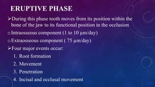 Eruption & Shedding | PPTX