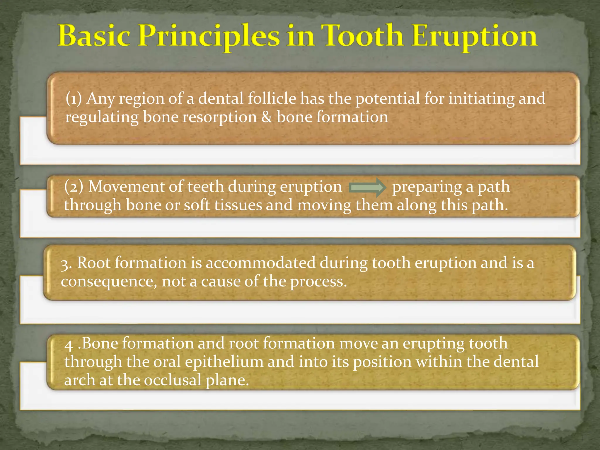 eruption & shedding part 1.pptx