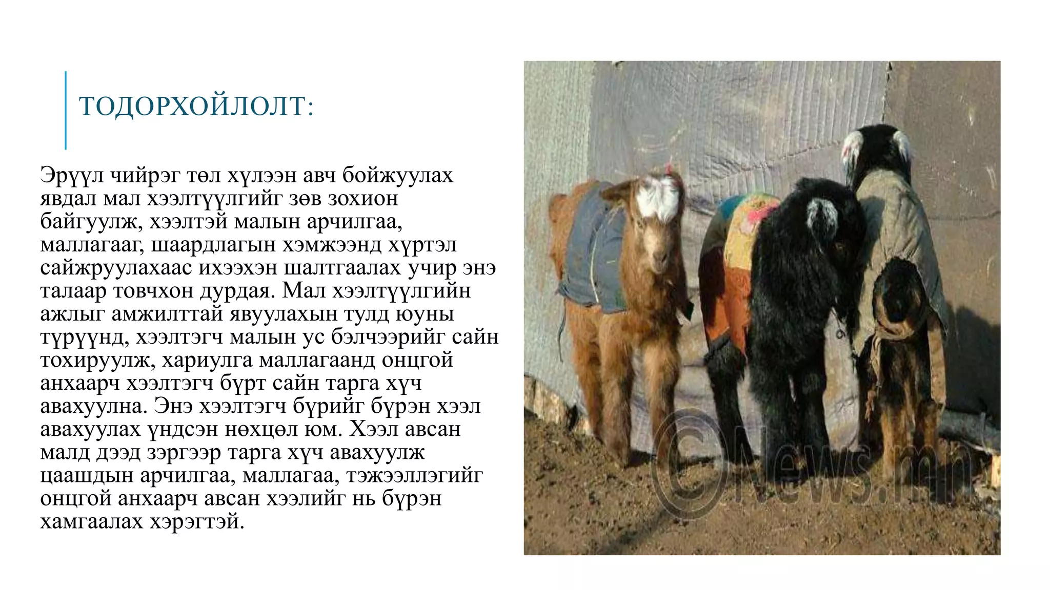 Eruul chiireg tol huleen awch boijuulah | PPTX