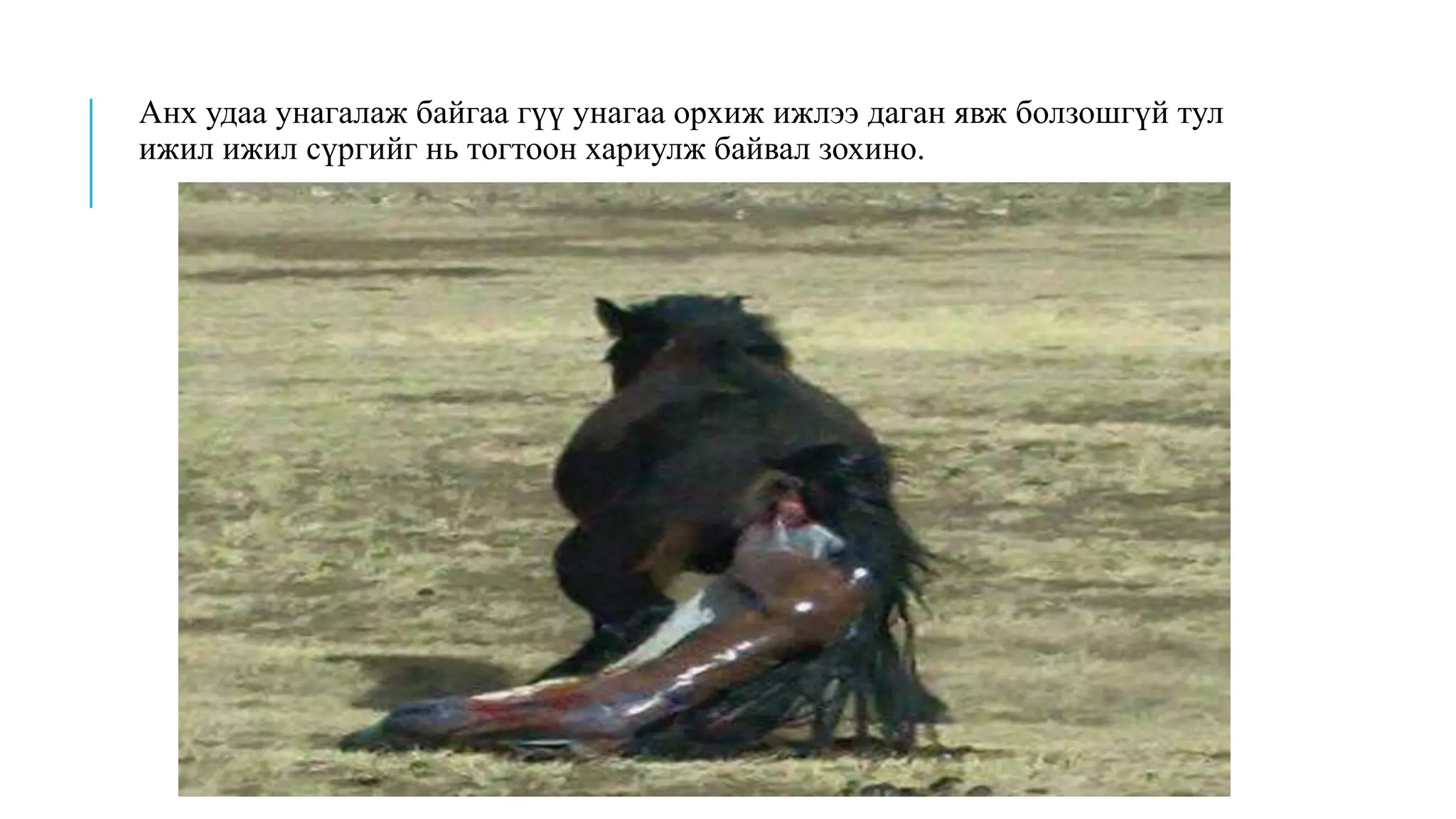 Eruul chiireg tol huleen awch boijuulah | PPTX