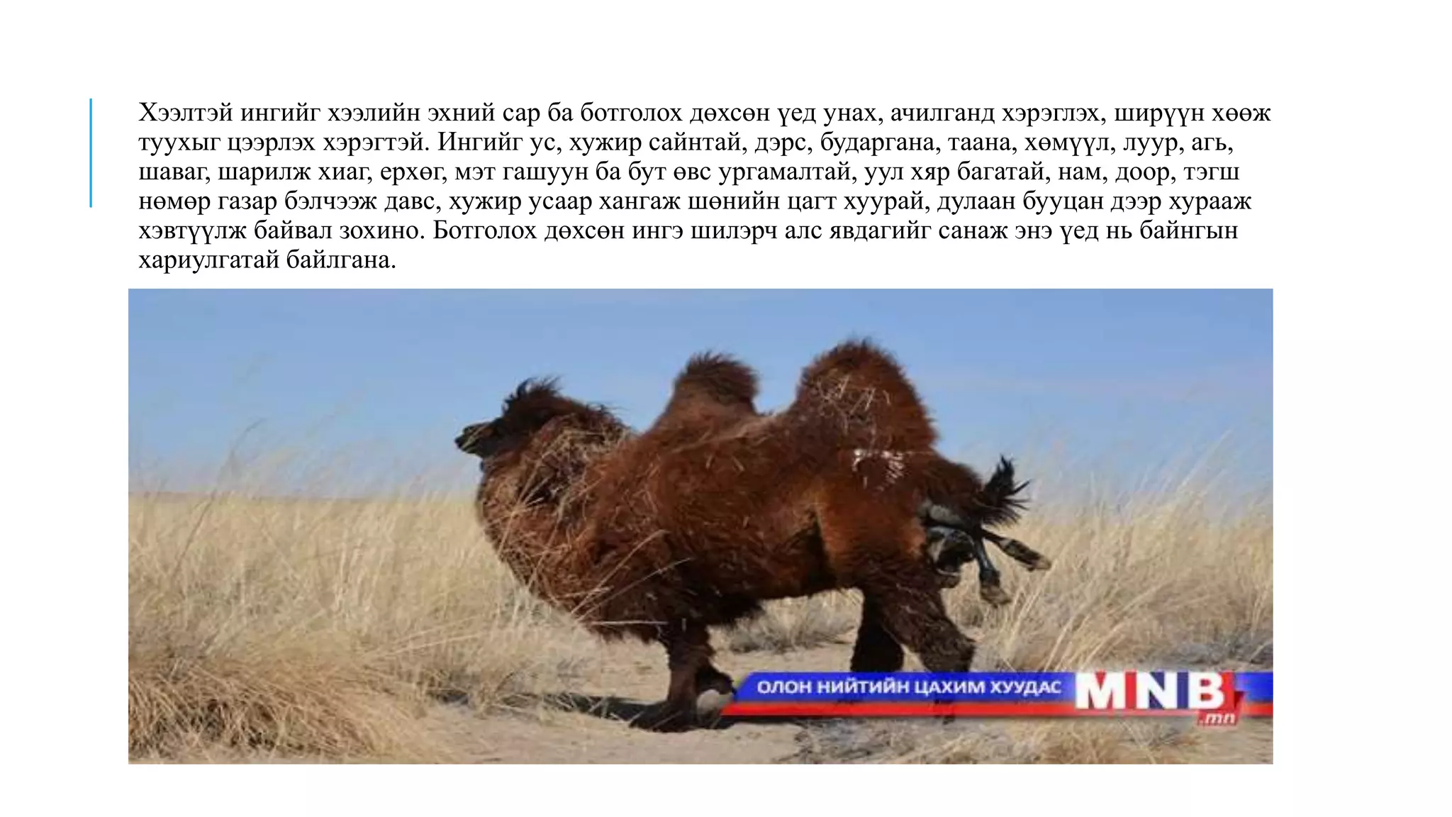Eruul chiireg tol huleen awch boijuulah | PPTX