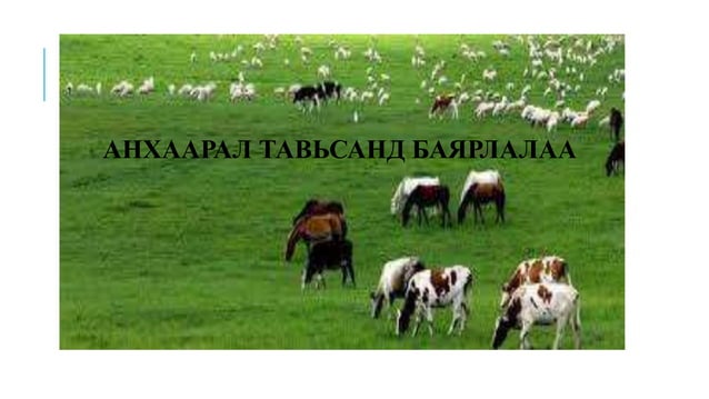 Eruul chiireg tol huleen awch boijuulah | PPTX