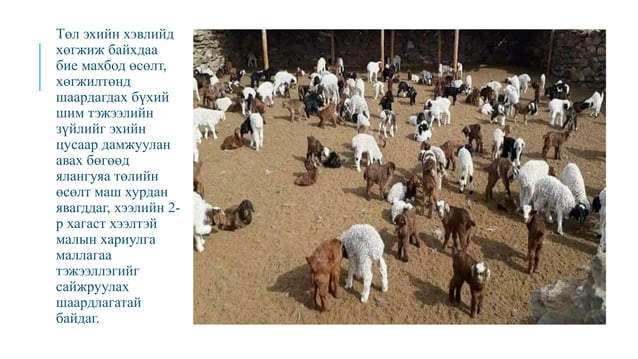 Eruul chiireg tol huleen awch boijuulah | PPTX