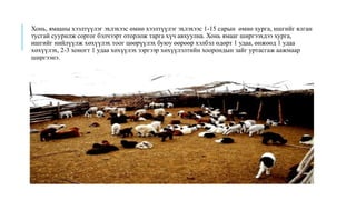 Eruul chiireg tol huleen awch boijuulah | PPTX