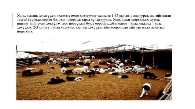 Eruul chiireg tol huleen awch boijuulah | PPTX