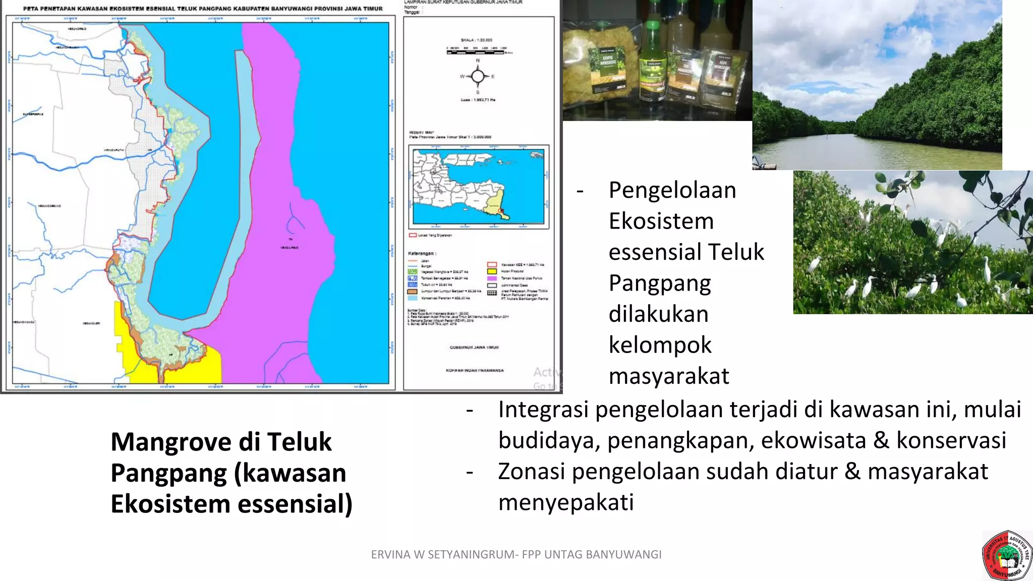 Mangrove Sebagai Tempat Mata Pencaharian (Mangroves as Livelihoods) | PDF