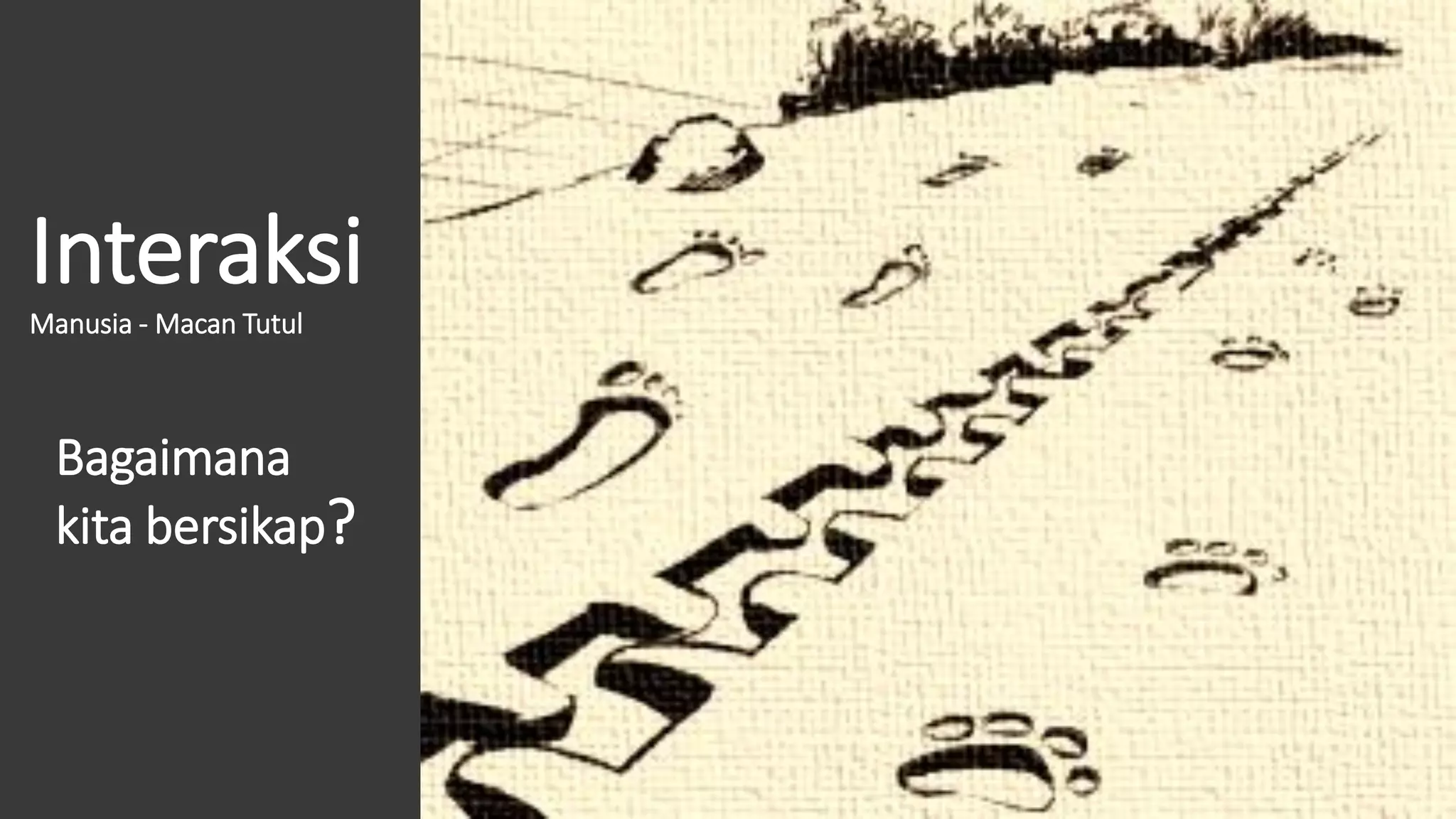 Interaksi Manusia - Macan Tutul Jawa dan Upaya Mitigasinya | PDF