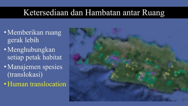 Interaksi Manusia - Macan Tutul Jawa dan Upaya Mitigasinya | PDF