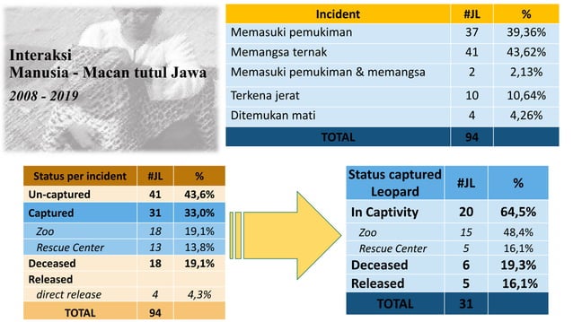 Interaksi Manusia - Macan Tutul Jawa dan Upaya Mitigasinya | PDF