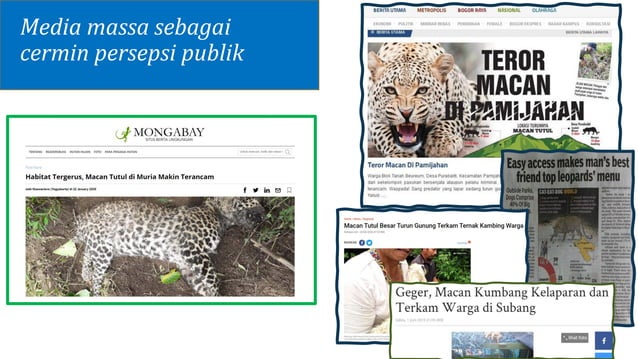 Interaksi Manusia - Macan Tutul Jawa dan Upaya Mitigasinya | PDF