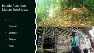 Interaksi Manusia - Macan Tutul Jawa dan Upaya Mitigasinya | PDF