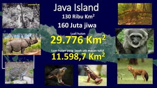 Interaksi Manusia - Macan Tutul Jawa dan Upaya Mitigasinya | PDF