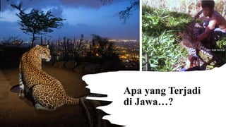 Interaksi Manusia - Macan Tutul Jawa dan Upaya Mitigasinya | PDF