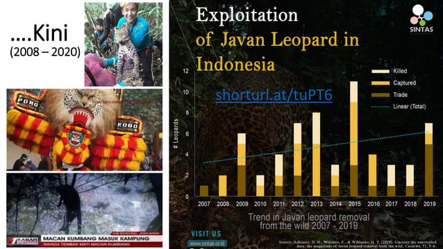 Interaksi Manusia - Macan Tutul Jawa dan Upaya Mitigasinya | PDF
