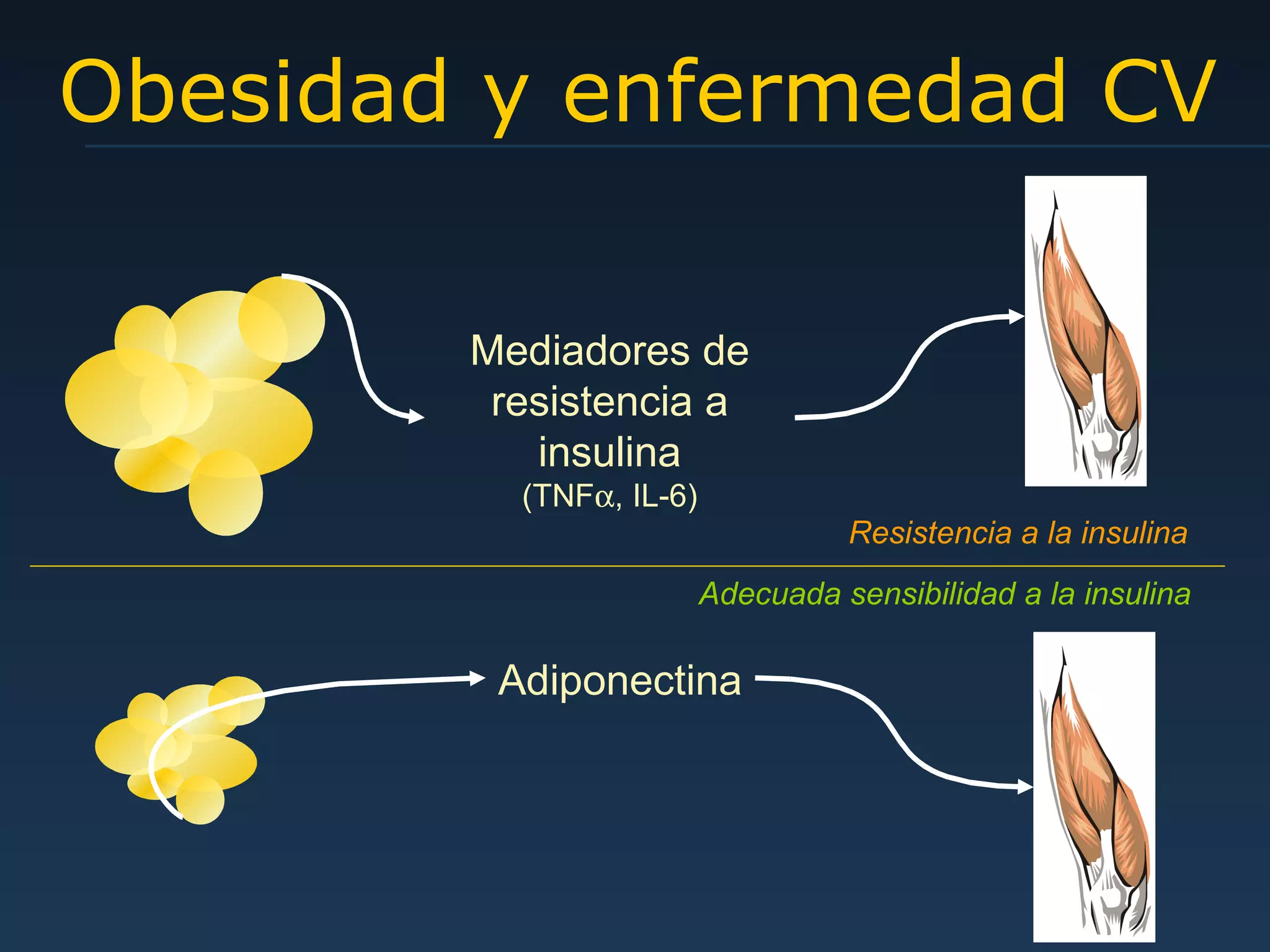 Erwin. obesidad, inflamación y enfermedad cv | PPT