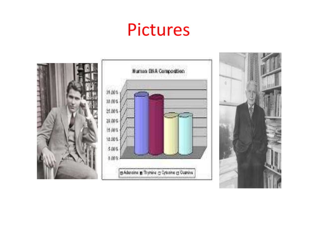 Erwin chargaff | PPTX