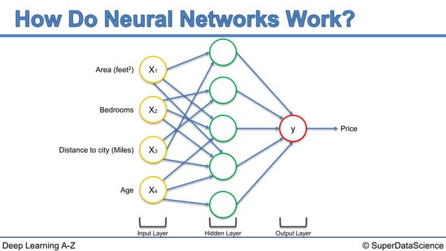Deep Learning A-Z™: Artificial Neural Networks (ANN) - How do Neural ...