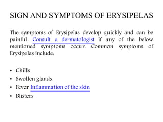 Erysipelas Symptoms