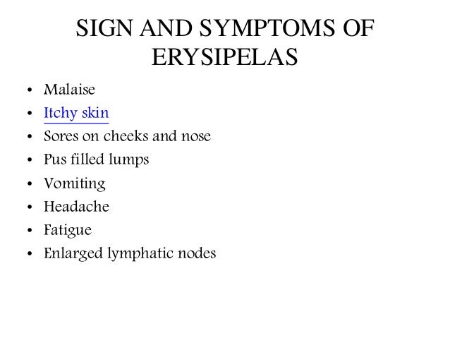 Erysipelas : causes, symptoms, diagnosis, prevention and treatments