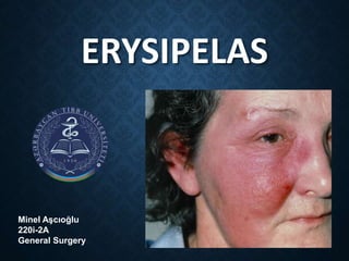 ERYSIPELAS.pptx