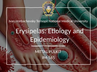 Erysipelas_Etiology_and_Epidemiology_Presentation.pptx