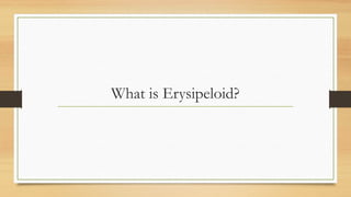 Erysipeloid | PPT