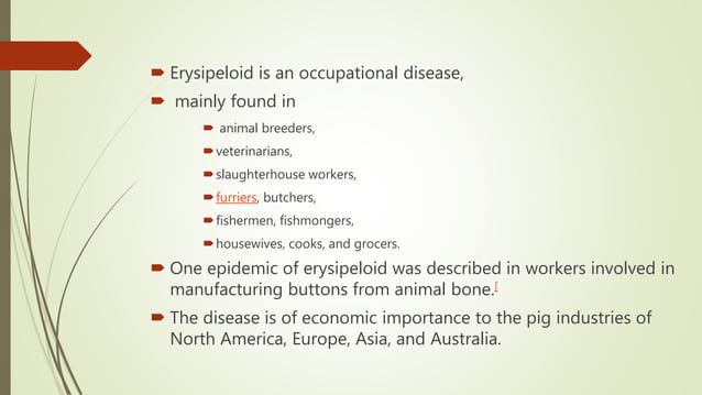 Erysipeloid.p by chamikaptx | PPTX