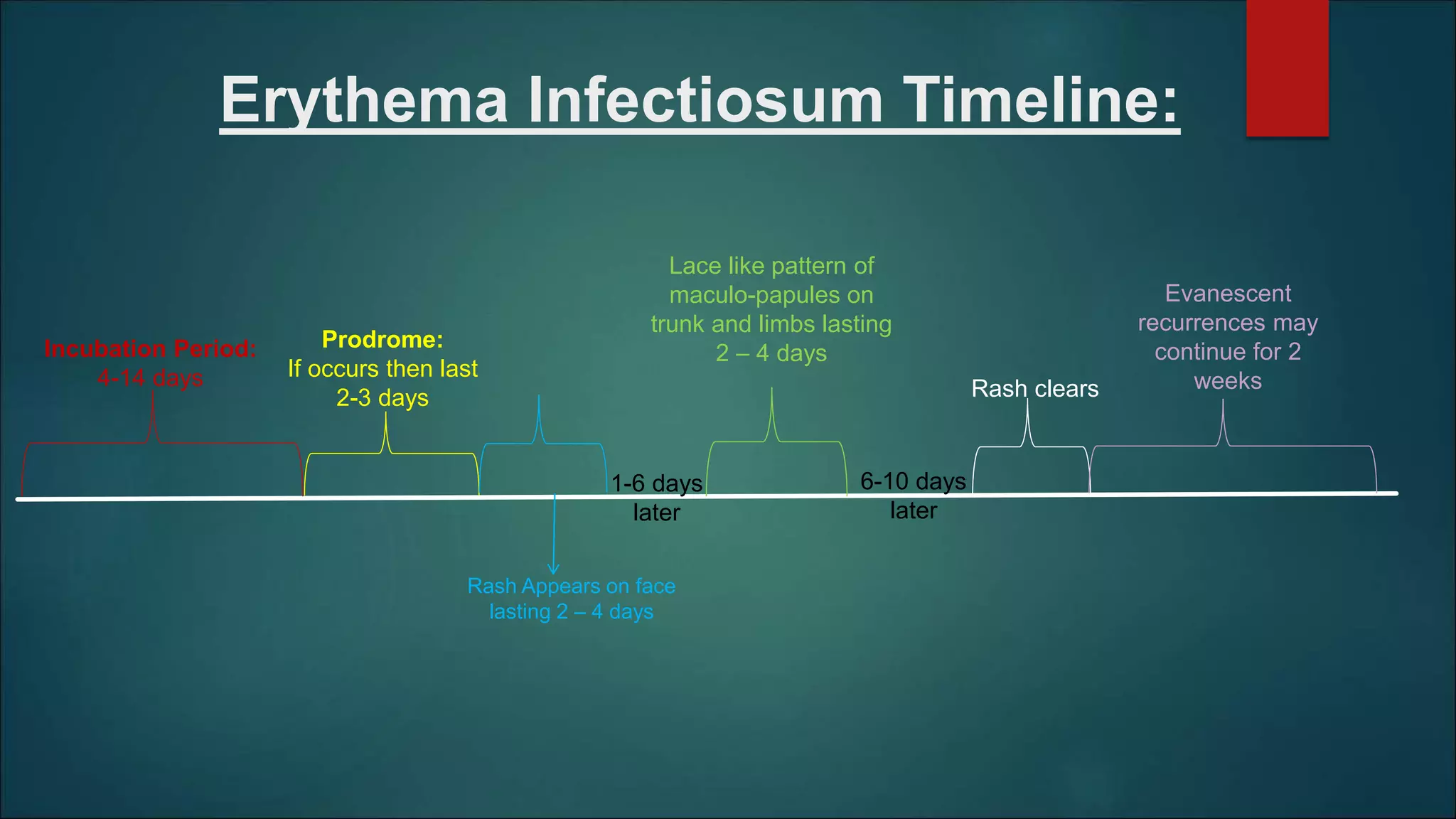 Erythema infectiosum made Very simple!!!!!! | PPT